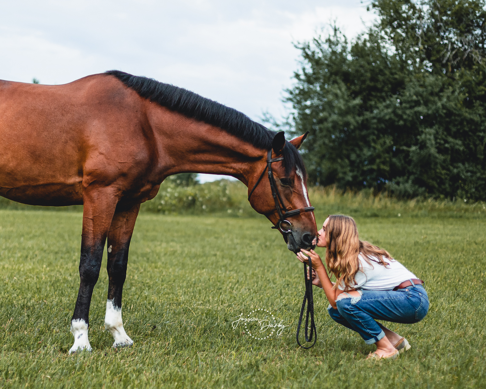 Miranda + Prince | Willow Run Stables In Mequon, WI | Jessica Darby ...