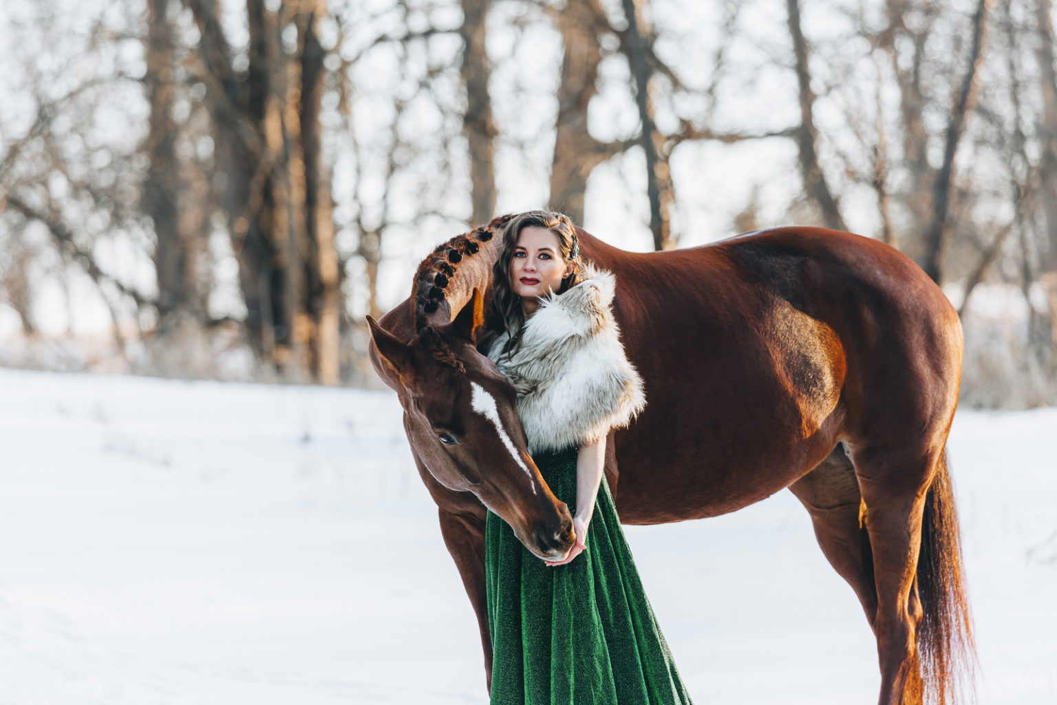 Jessica Darby | Wisconsin's Premier Equestrian Photographer